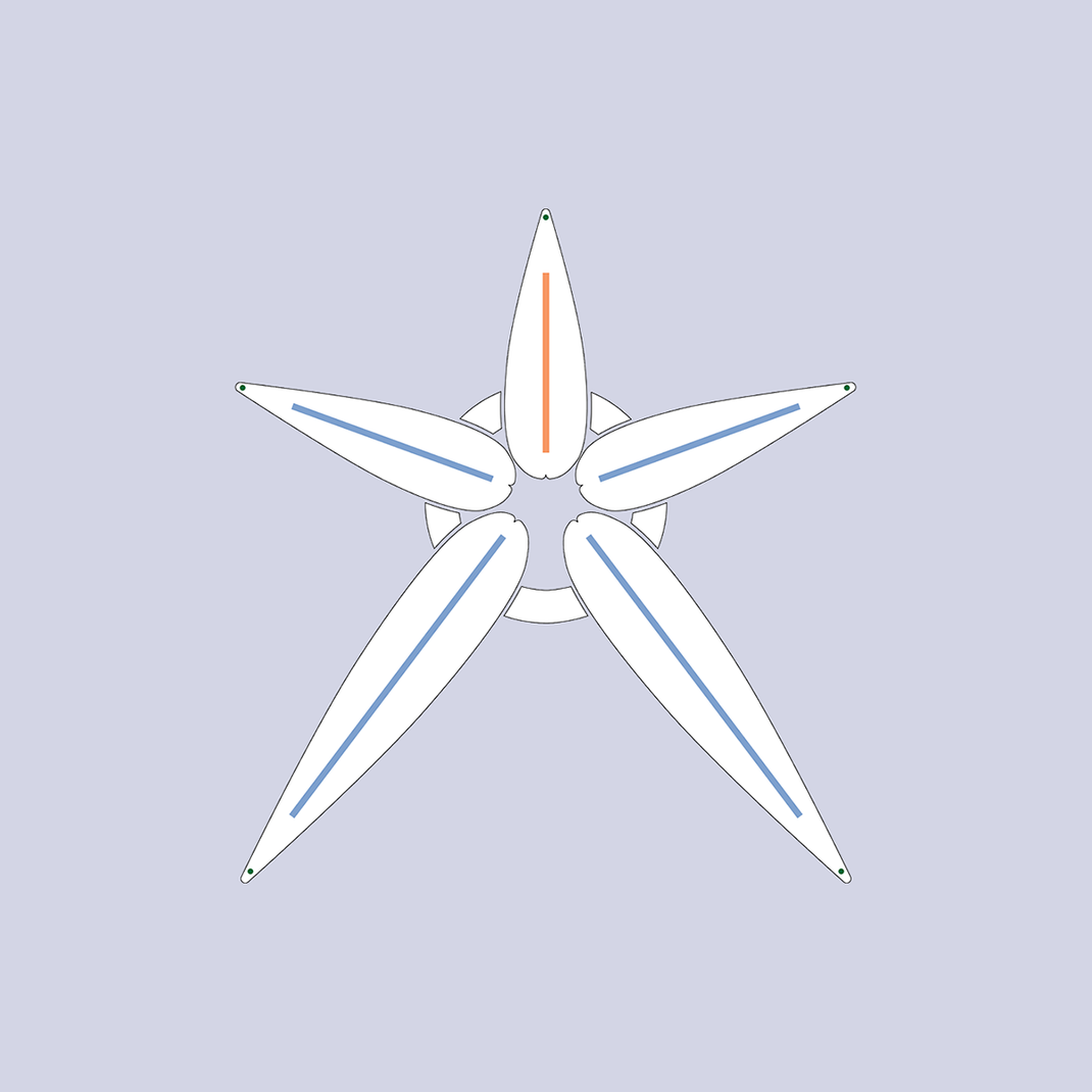 DASKI 公式オンラインショップ